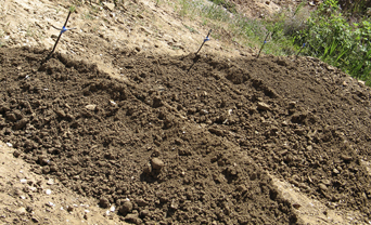 How to Extract Gold from Black Gold Sand?